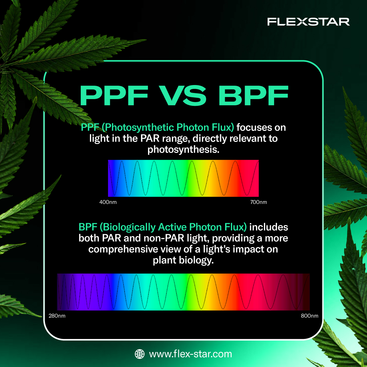 BPF vs. PPF: The Lighting Metrics Every Grower Needs to Know! - FLEXSTAR